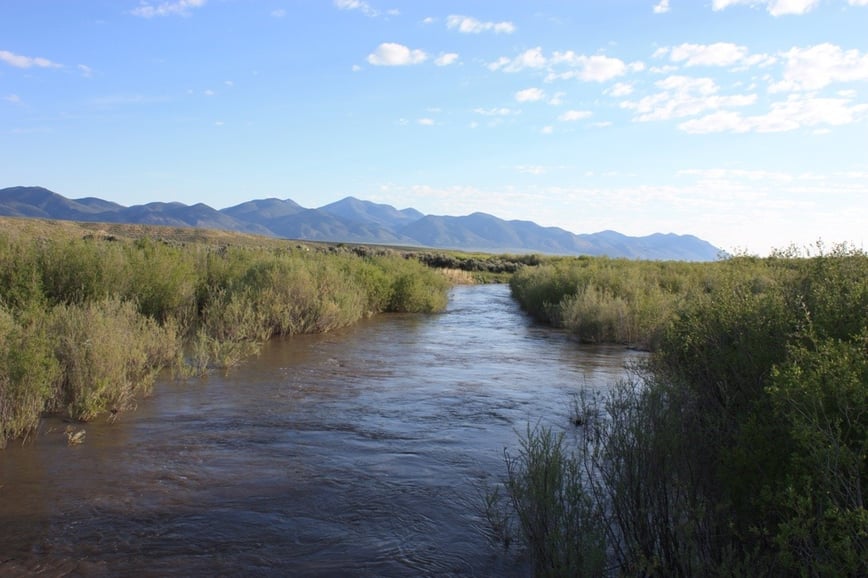 Foreign Corporations To Publish Or Perish In Nevada